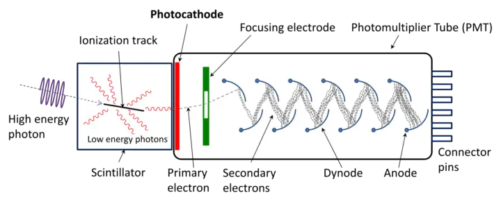 Solid Scintillation Counter Diagram What Is A Scintillation